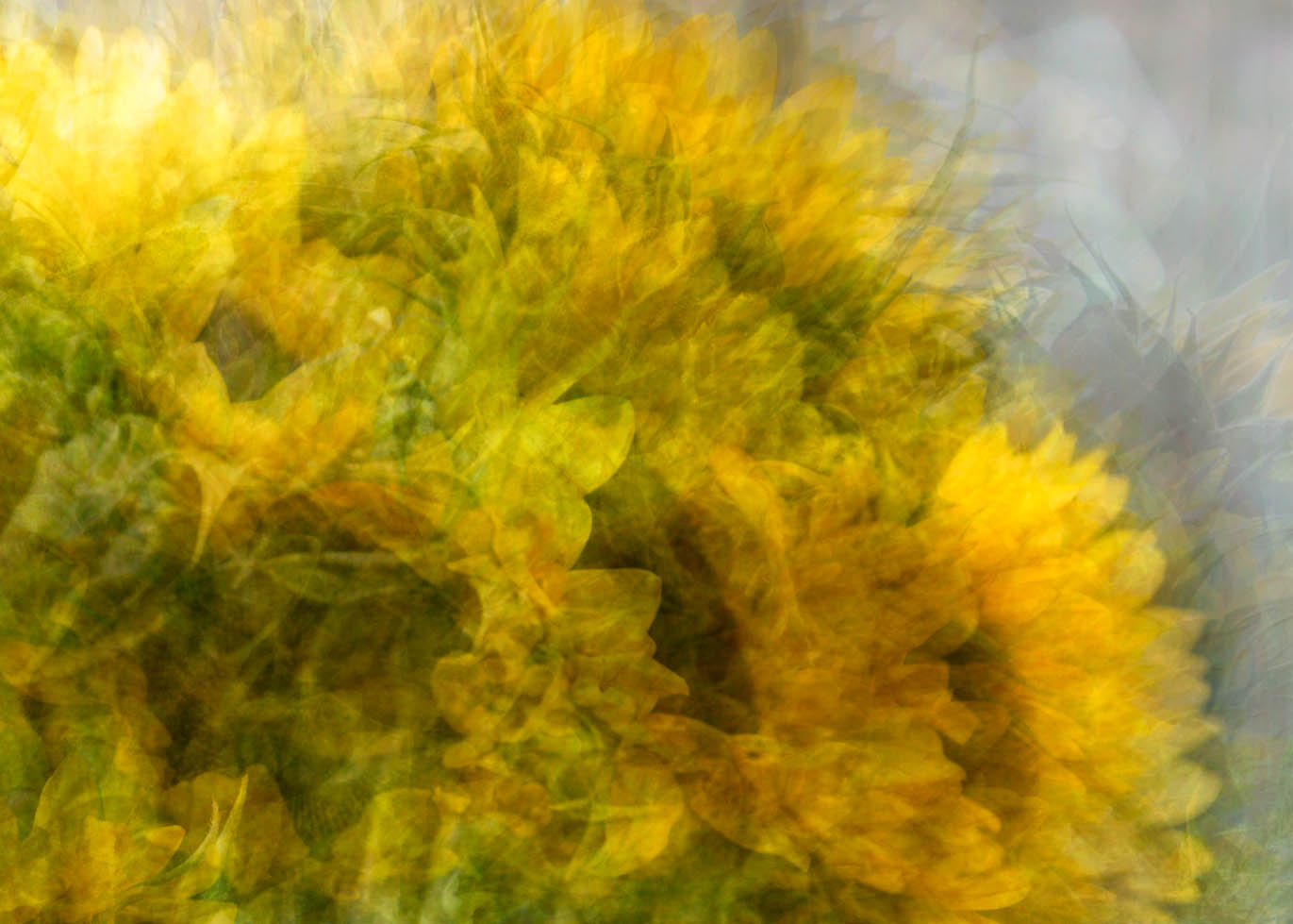 It’s All In The Detail | The Photo Impressionism Project